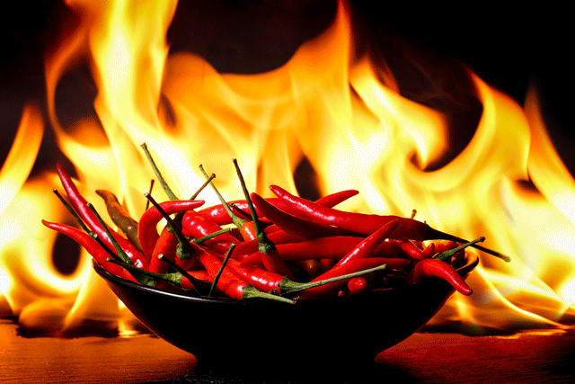 What makes Chillies hot? - The Chilli Workshop