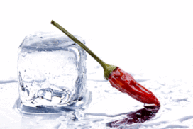 A guide to freezing Chillies - The Chilli Workshop