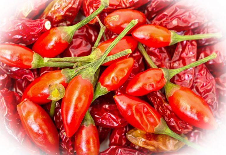 Birds-eye Chillies - The Chilli Workshop