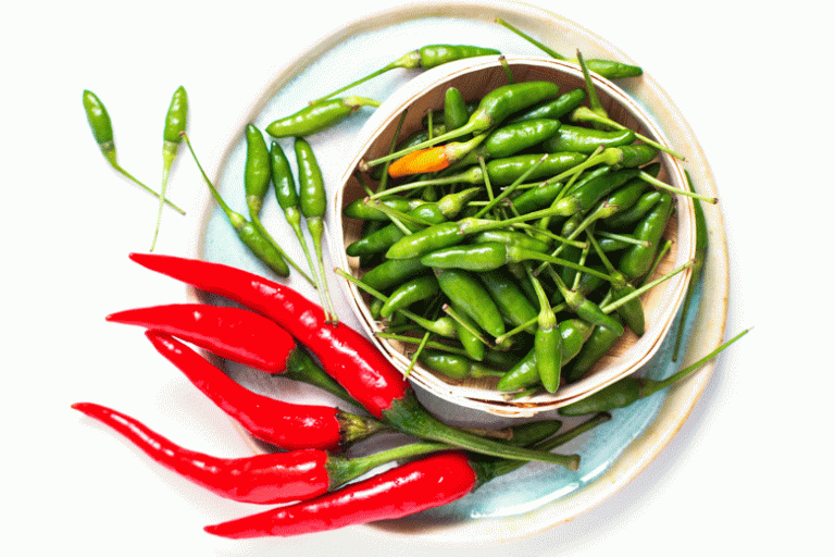 Birds-eye Chillies - The Chilli Workshop