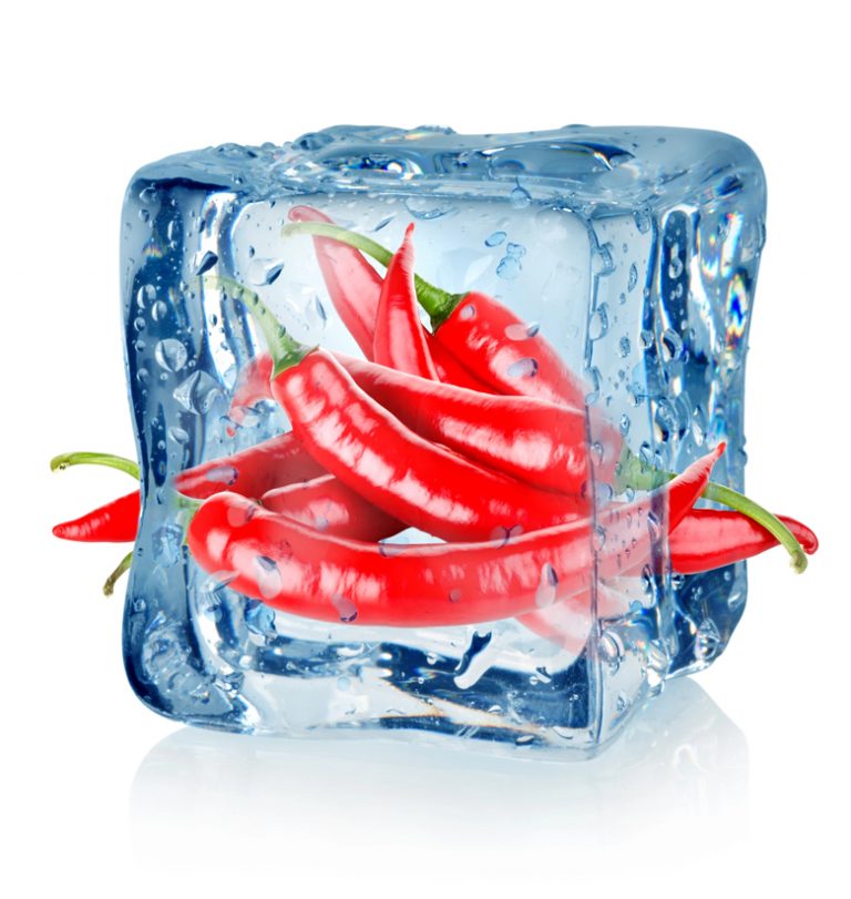 Quick Chilli Seed germination - The Chilli Workshop
